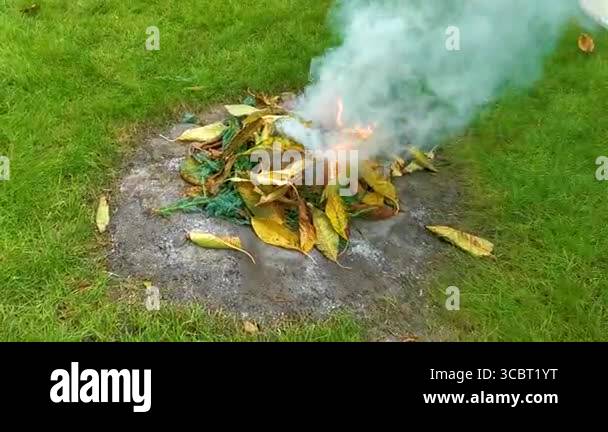 Burn leaves Make a bonfire in the garden in Leninskiy Rayon Brest Brest ...