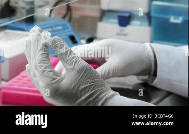 Close-up of a lab workers hands wearing white protective gloves holding ...