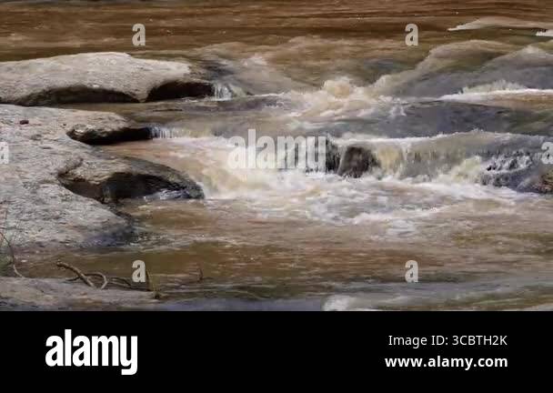 The nature of the waterfall in the forest that flows strongly during ...
