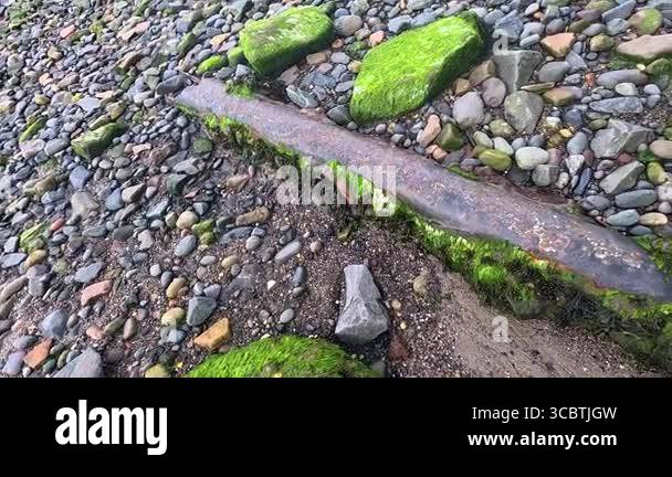 Moss-covered rocks and pebbles near water Stock Video Footage - Alamy