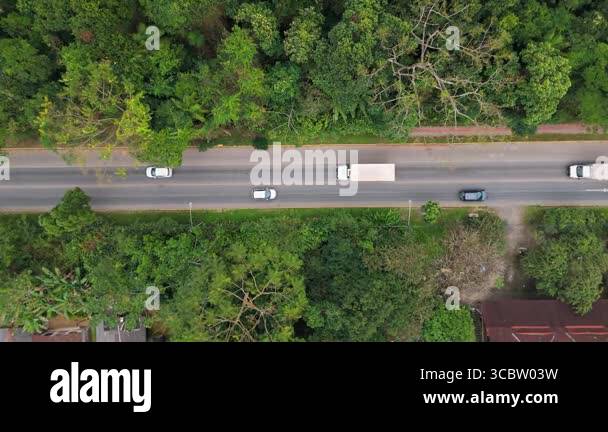 Urban road bordering dense forest area with green trees and preserved ...