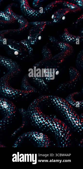 Dark Rock Snakes in Neon Loop Animation 80s Aesthetic, Glossy Black ...