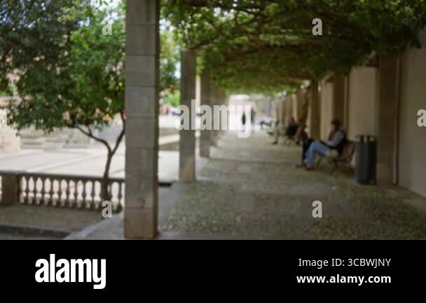 Blurred university campus scene with people walking under a tree ...