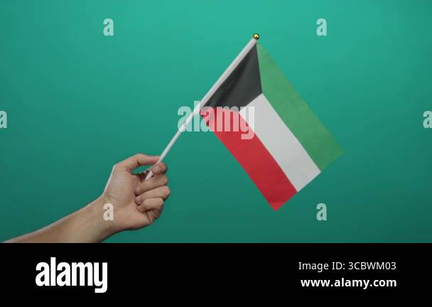 Caucasian man holds kuwait flag against a green isolated background ...