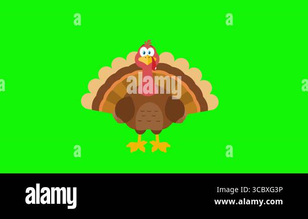 Funny Dancing Cartoon Turkey Character On Green Screen 4K Animation ...