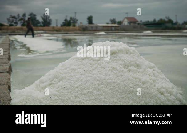 Salt heap drying against worker who harvests minerals with shovel in ...