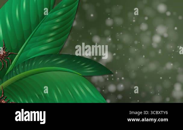 Spider crawling on leaf with sparkling background Stock Video Footage ...