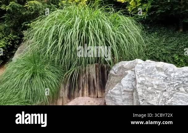 ornamental boulder in the garden with sandy path and ornamental grasses ...