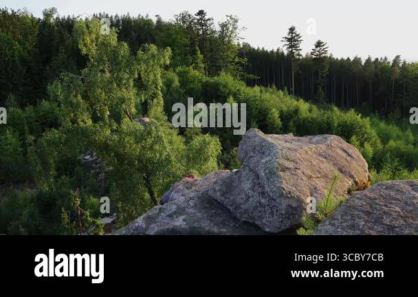 Young man climbing on stone rock with treetop behind him. Active ...
