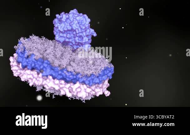 3d animation of floating nanodisc consists of Phospholipids and A ...