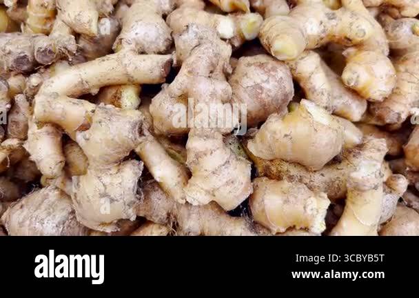 Top view of a pile of freshly harvested ginger roots. Raw and unwashed ...