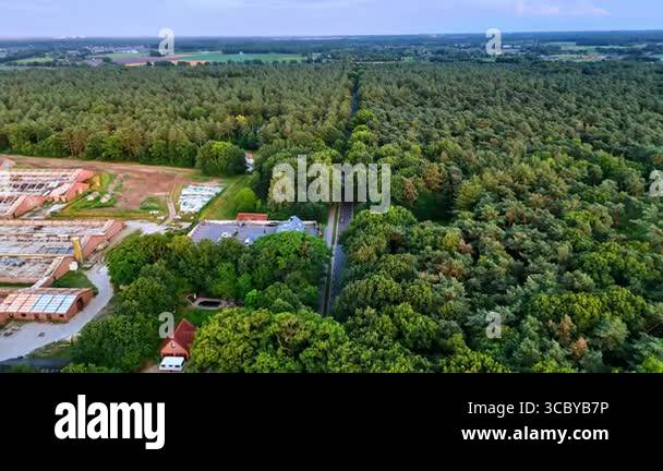 Green land by the forest edge. A vast forest stretches along a road ...