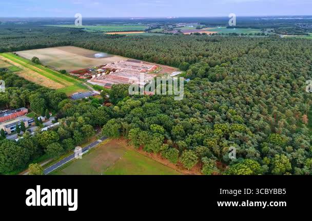 Countryside forest view. Vast green fields surround a cluster of ...