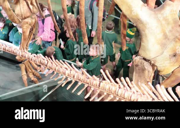 School uniforms museum Stock Videos & Footage - HD and 4K Video Clips ...