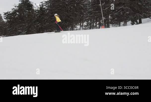 Skier turns in powder Stock Videos & Footage - HD and 4K Video Clips ...