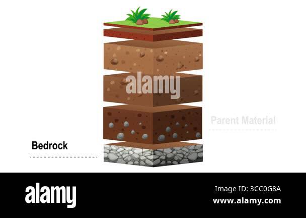 Animation explaining different layers of soil Stock Video Footage - Alamy