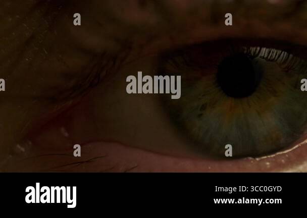 Blinking female eye with blue and brown iris and long lashes painted ...