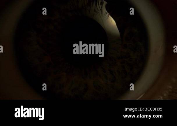 Macro shot of a human brown blue eye showing detailed iris texture ...