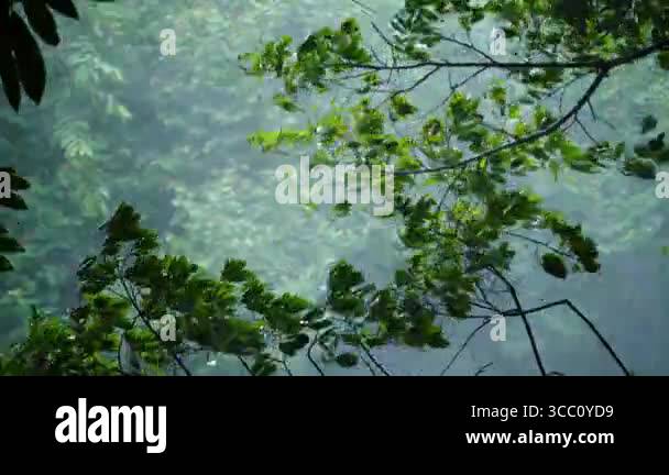 Tropical storms bring heavy rain and strong winds to tropical forests ...