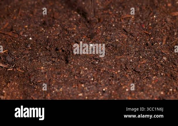 Close-up of soil as water is poured, creating a hole for planting seeds ...