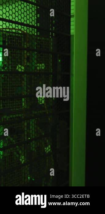 Animation of binary coding data processing and symbols against computer server room. Computer ...