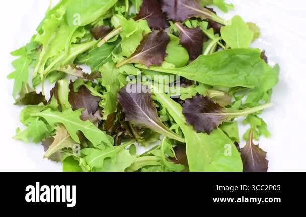 Italian Mixed salad with lettuce,red lettuce,rocket,romaine lettuce ...