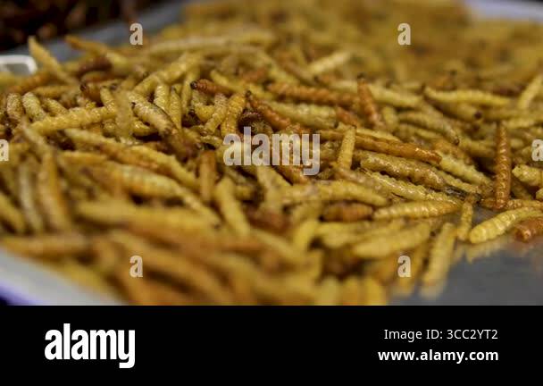 Edible insects approved for consumption in Europe, French mealworms ...