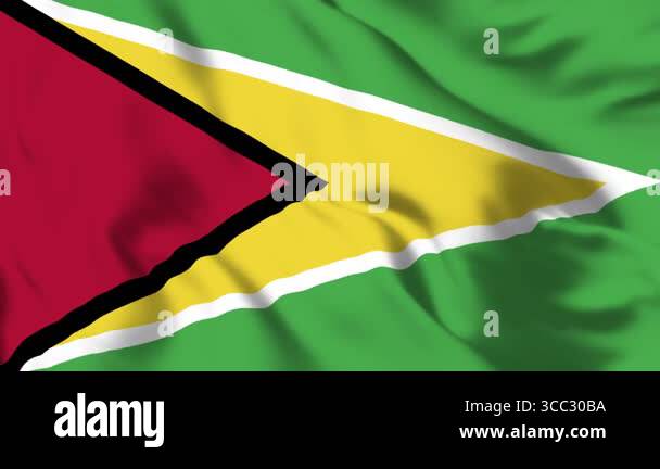 Guyana Flag 4K Animation Golden Arrowhead in Motion Stock Video Footage ...