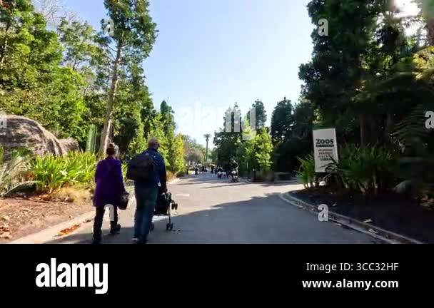 People walking through a lush zoo pathway Stock Video Footage - Alamy