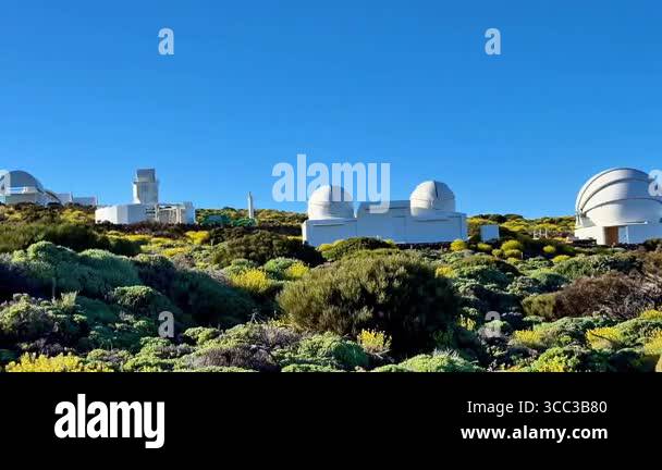 Stunning observatories beautifully positioned in lush greenery beneath ...