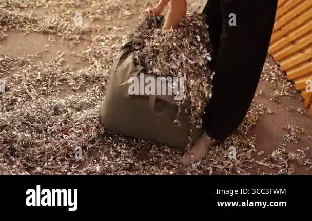 Person stuffing a large fabric bag with shiny silver confetti ...