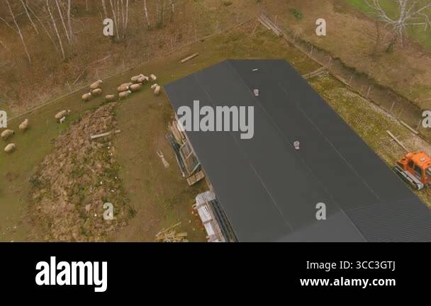 Sheep fields, barn scenery, quiet countryside. Aerial perspective ...