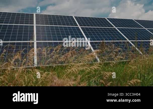 Overgrown solar power station with tall dry grass indicating lack of ...