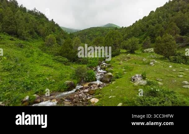Aerial view of small creek winding through green mountain gorge at ...