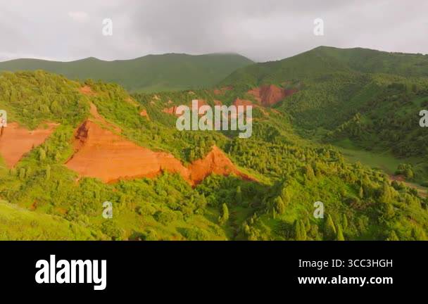Drone view of vibrant greenery contrasting sharply with eroded red clay ...
