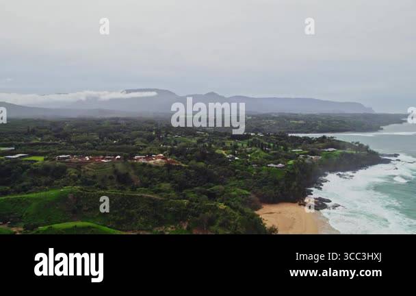 flying over a beach in Kauai. High quality FullHD footage Stock Video ...