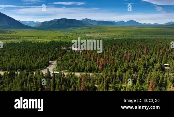 Rising over the pine tree woods in the vast valley. Spectacular ...