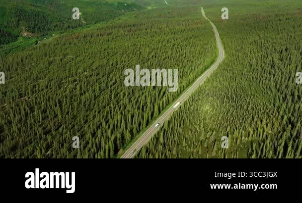 Alaska pine tree forest Stock Videos & Footage - HD and 4K Video Clips ...