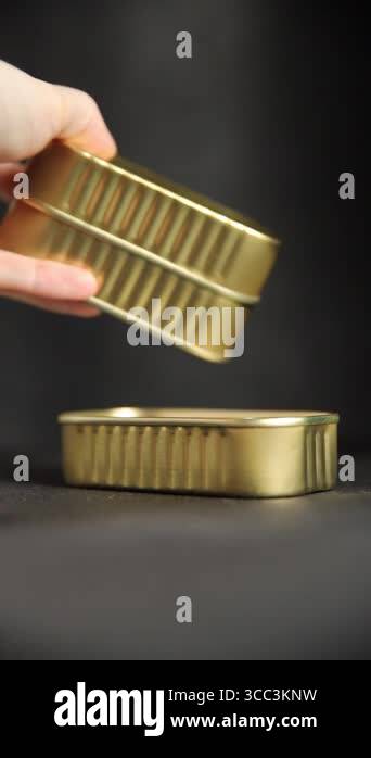Can tin canned food fish or meat, tin can vegetable fresh delicious ...