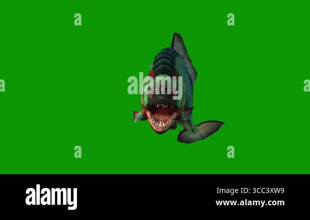 3D Piranha Attacking Scene Front On Green Screen-Wildlife Animation ...