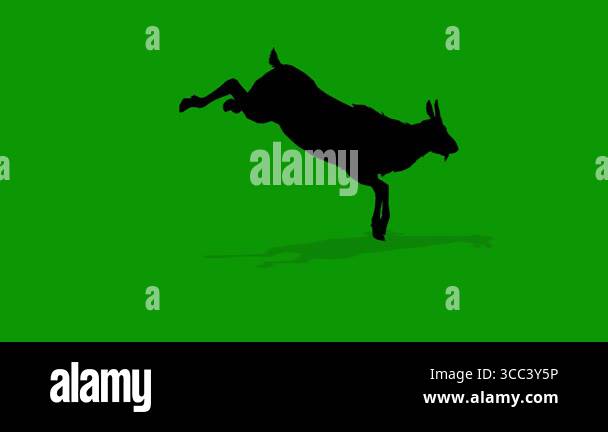 Black deer silhouette animation Stock Videos & Footage - HD and 4K ...