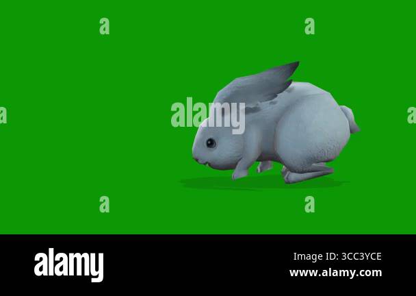 Cute White Rabbit Hopping Left-3D Animation On Green Screen Stock Video ...