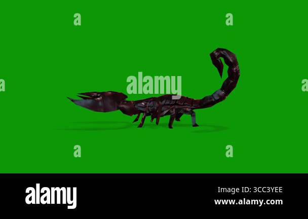 Scorpion Walking Scene From Left Side-3D Animation On Green Screen ...
