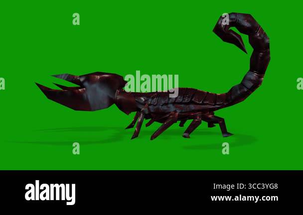 Scorpion idle Scene From Left-3D Animation On Green Screen Stock Video ...