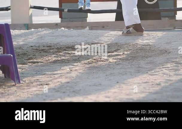 people and camel legs on dusty sandy ground Stock Video Footage - Alamy