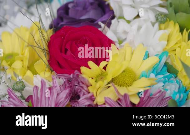 Beautiful seasonal display colors Stock Videos & Footage - HD and 4K ...