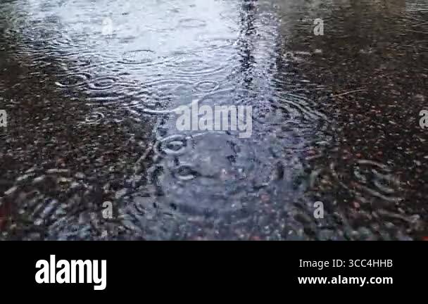 Rain puddles on the street, raindrops hitting the surface of the water ...
