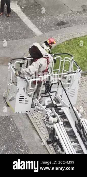 Fire brigade operation, liquidation of a nest of dangerous hornets, a ...