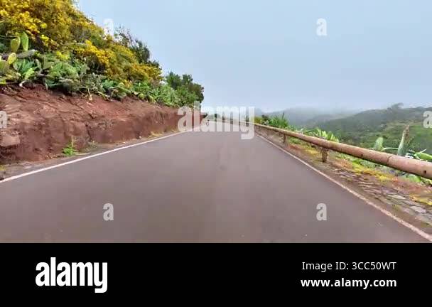 A beautiful meandering road, surrounded by lush greenery and fog ...