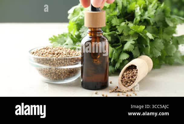Woman dripping coriander essential oil from pipette into bottle at ...